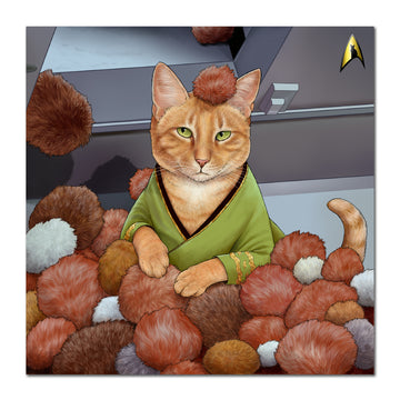 Star Trek Cats